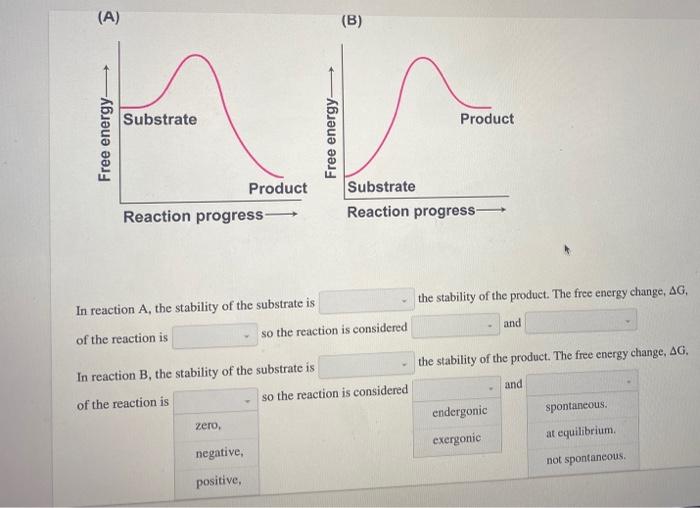 Solved (A) (B) Substrate A Product Product Substrate | Chegg.com