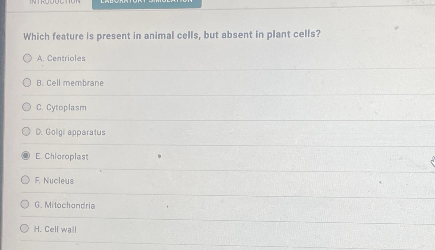Solved Which feature is present in animal cells, but absent | Chegg.com