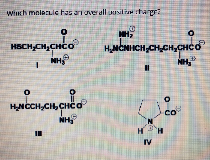 Solved Which molecule has an overall positive charge? NH | Chegg.com