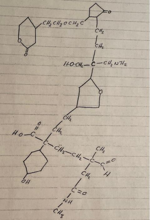 Solved Circle and name each of the functional groups in the | Chegg.com