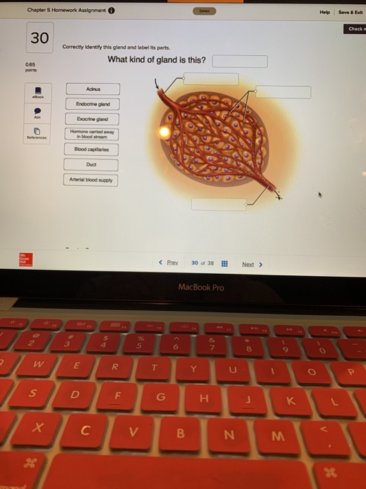 Solved Chapter 5 Homework Assignment Help Save & Ext Check | Chegg.com