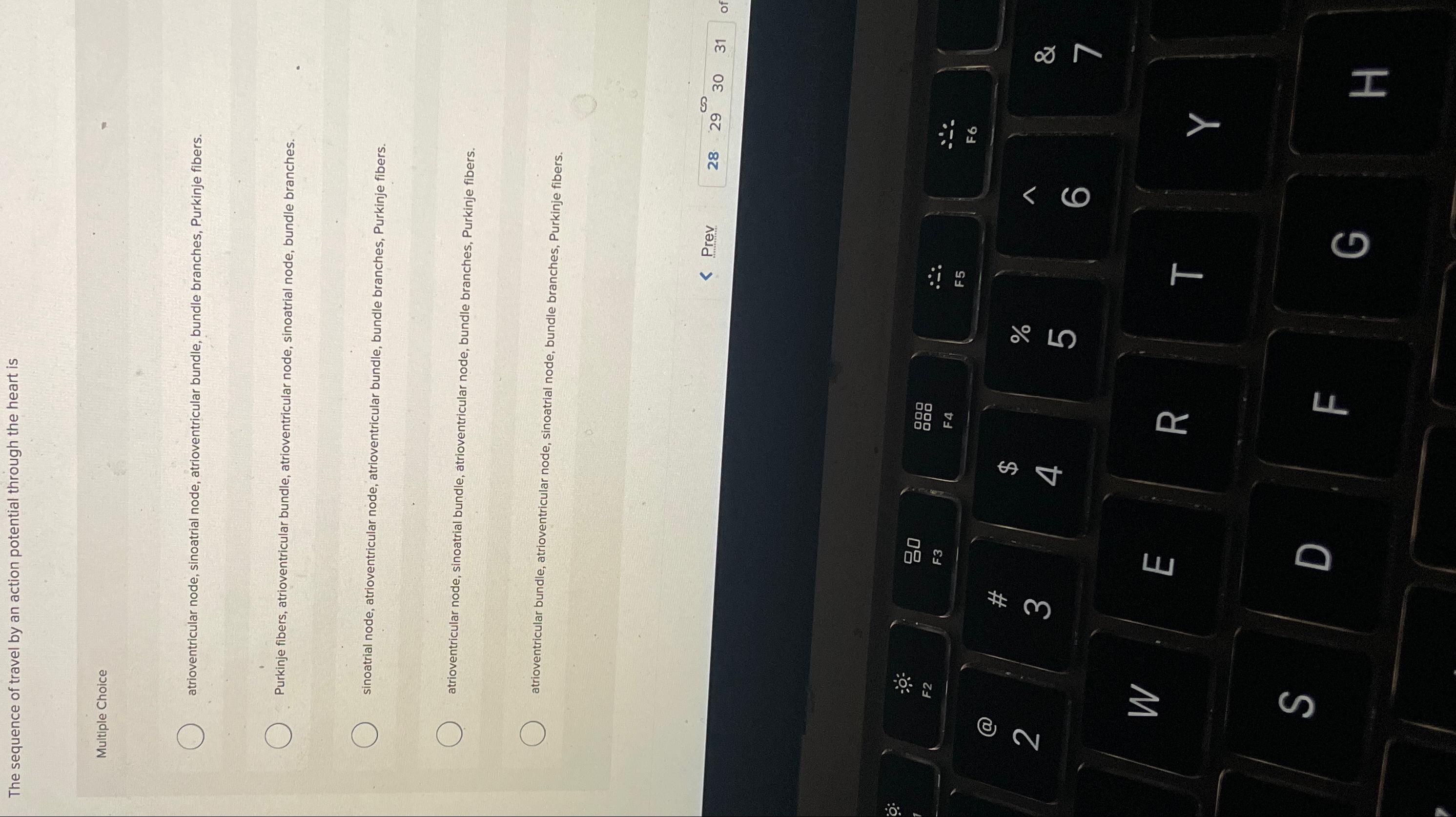 Solved Atrioventricular Node Sinoatrial Node