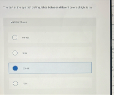 Solved The pat of the eye that distinguishes between | Chegg.com