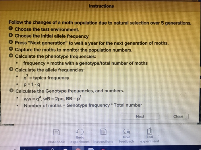 Notebook Population development Phenotype frequency | Chegg.com