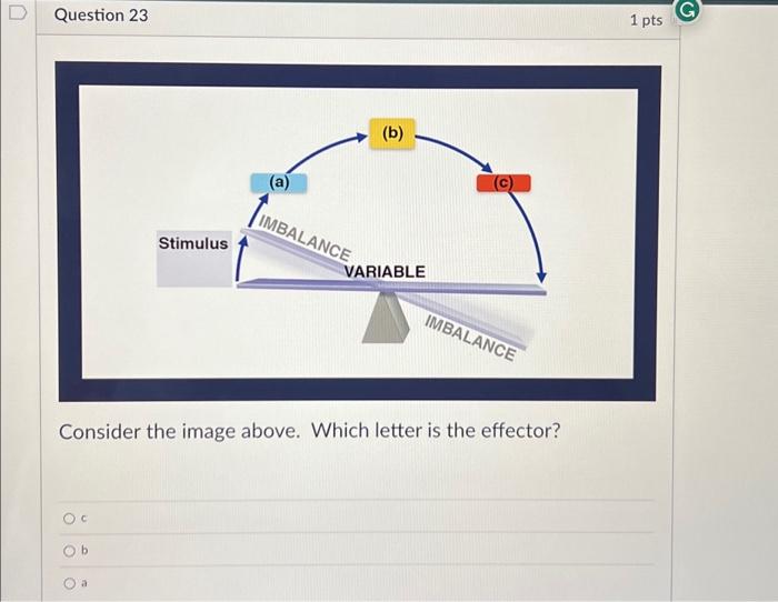 Solved Question 23 C Stimulus a (a) IMBALANCE (b) VARIABLE | Chegg.com