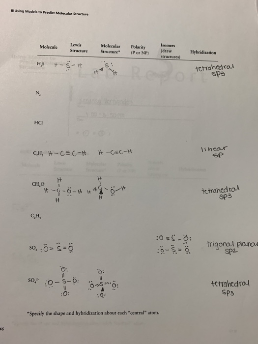Solved Using Models To Predict Molecular Structure Molecule
