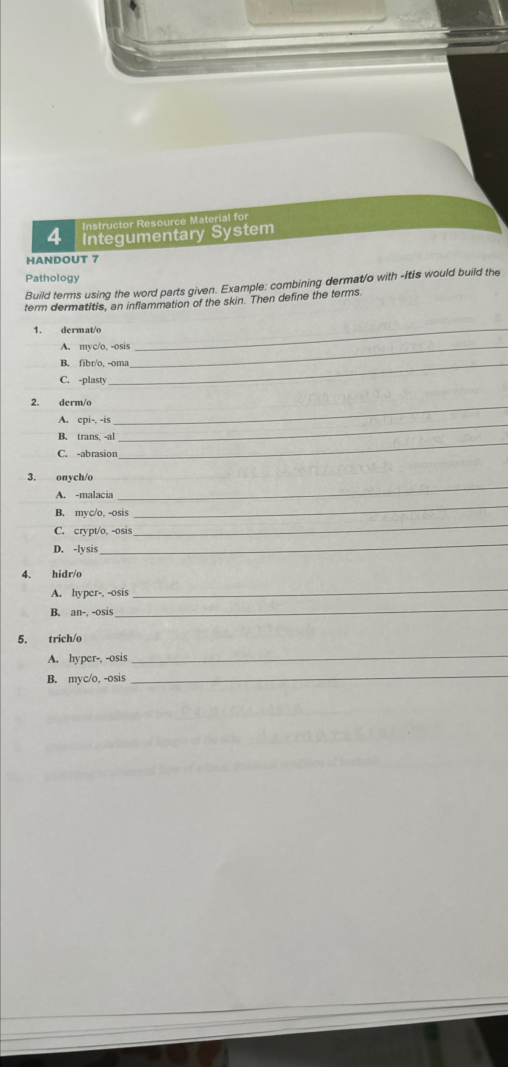 Solved Instructor Resource Material for Integumentary | Chegg.com