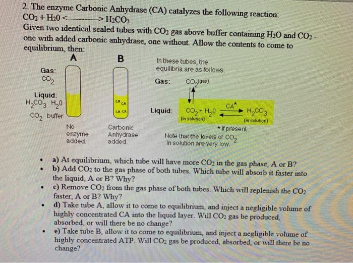 Solved 2. The enzyme Carbonic Anhydrase (CA) catalyzes the | Chegg.com