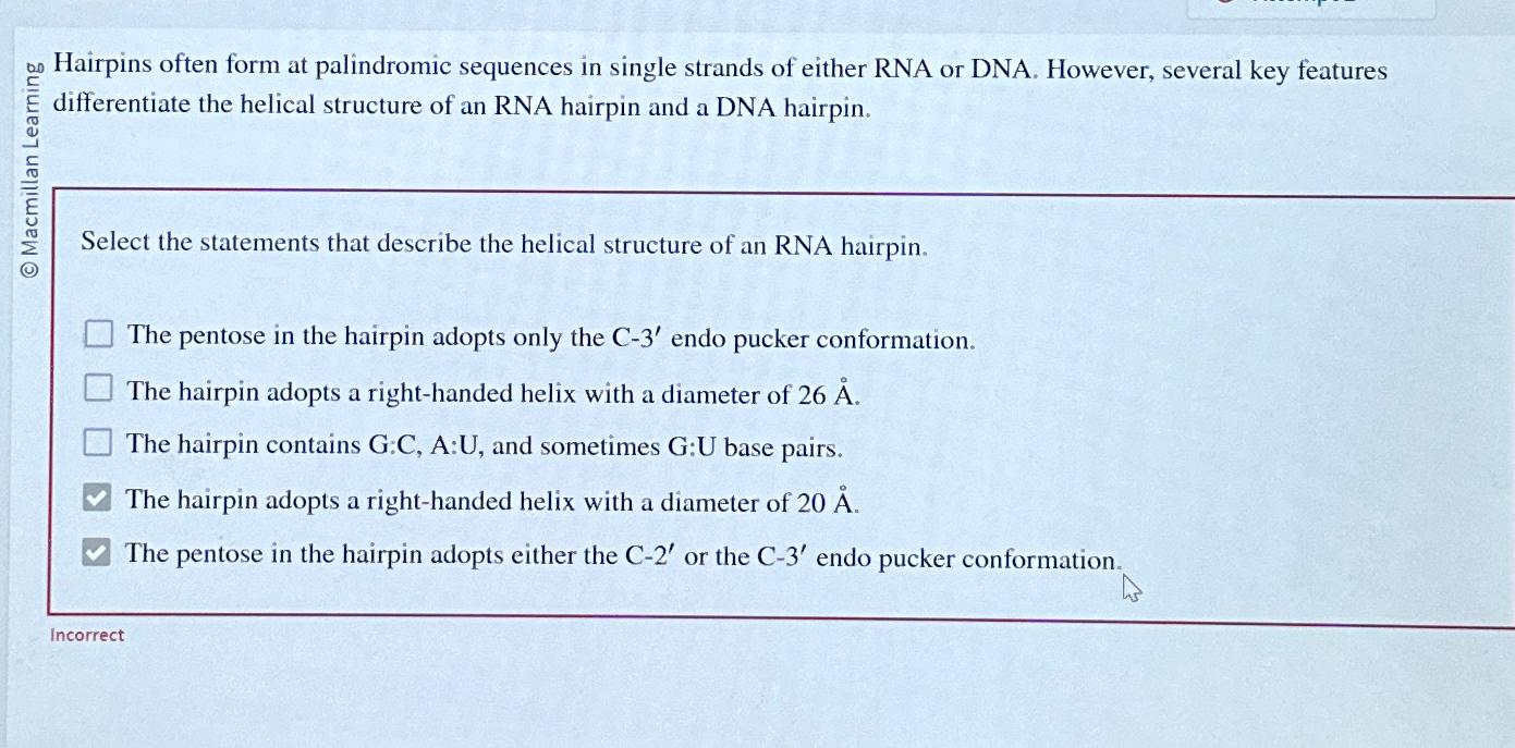 Solved Hairpins Often Form At Palindromic Sequences In