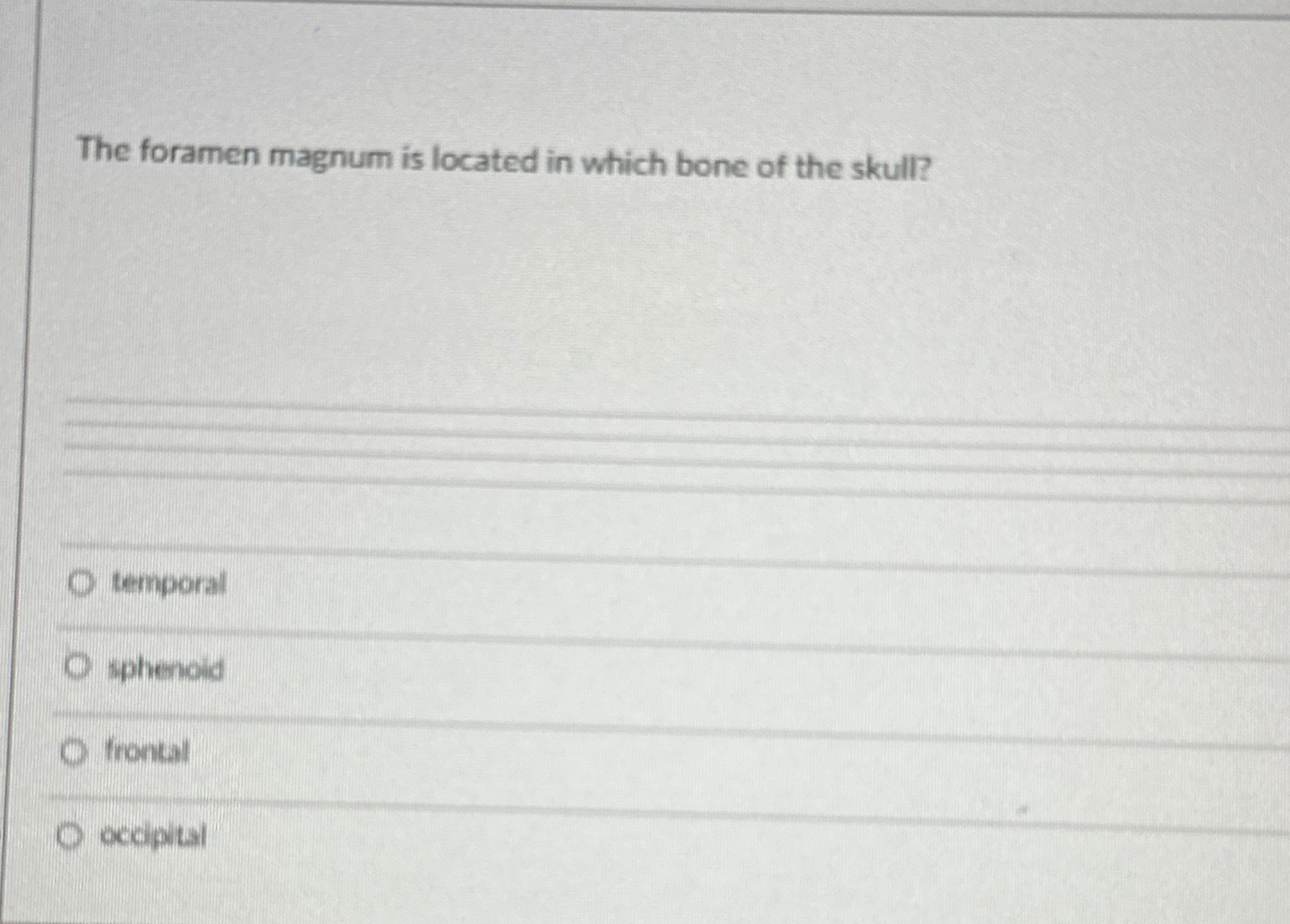 Solved The foramen magnum is located in which bone of the | Chegg.com