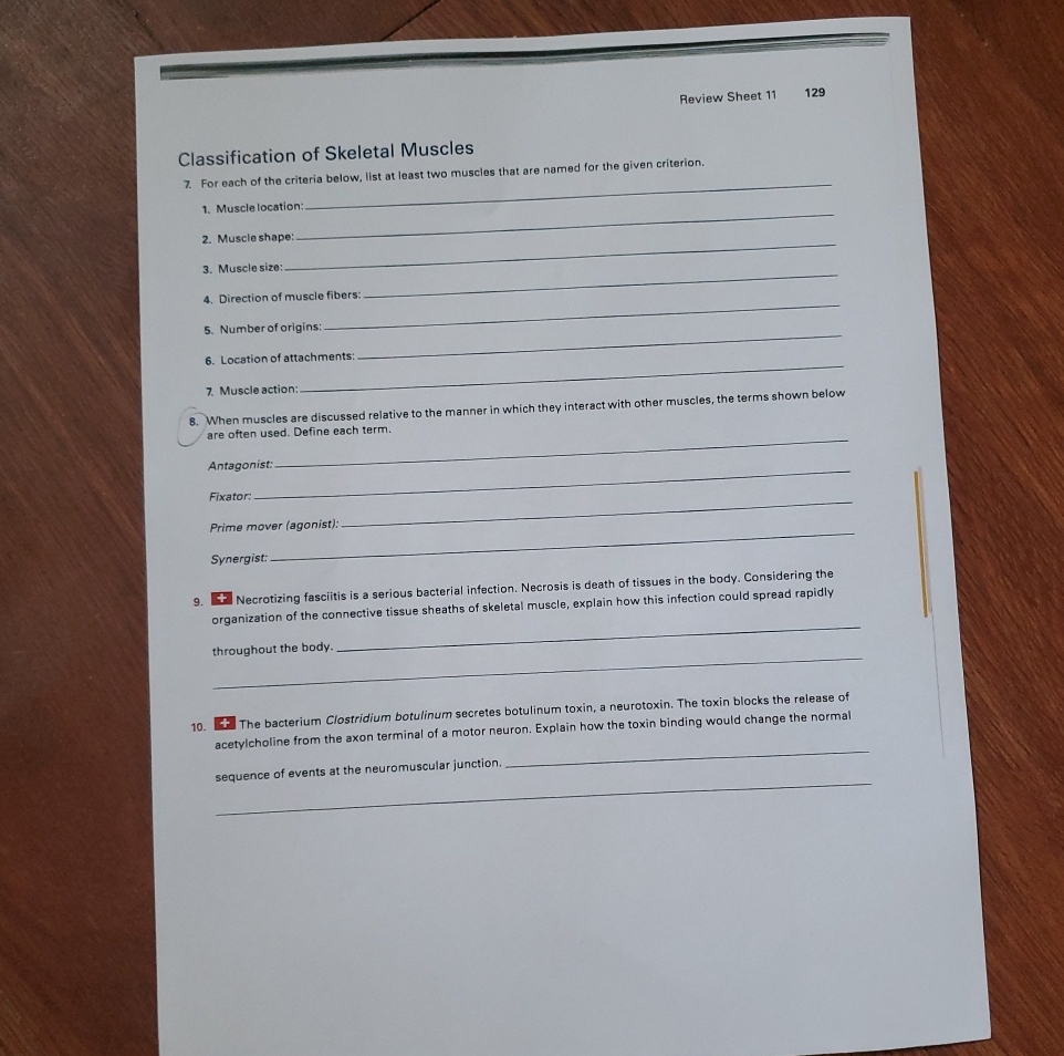 Solved Review Sheet 11129Classification of Skeletal | Chegg.com