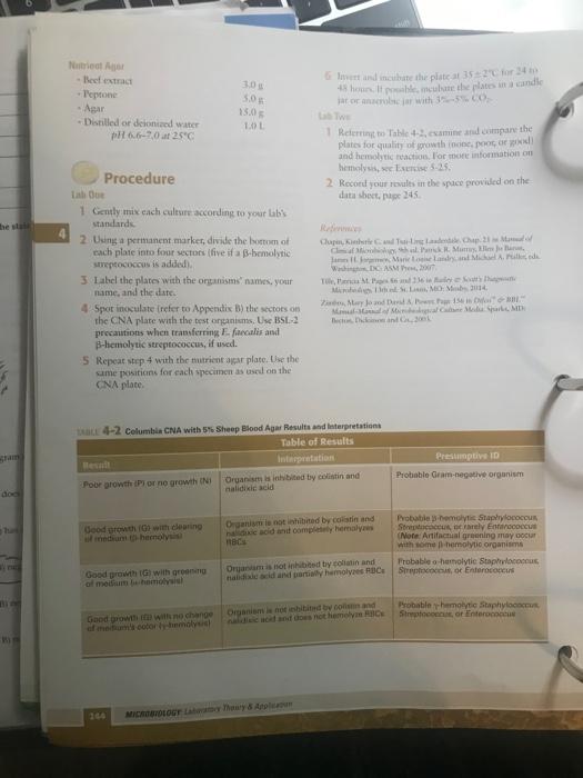 Selective and Differential Media Assignment Worksheet | Chegg.com