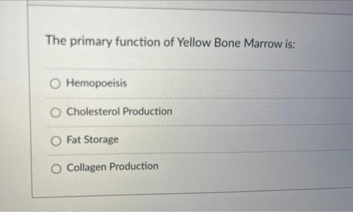 Solved The primary function of Yellow Bone Marrow is: O | Chegg.com