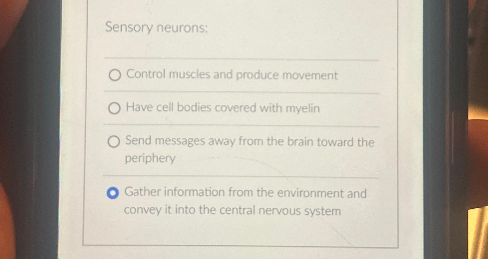 Solved Sensory neurons:Control muscles and produce | Chegg.com