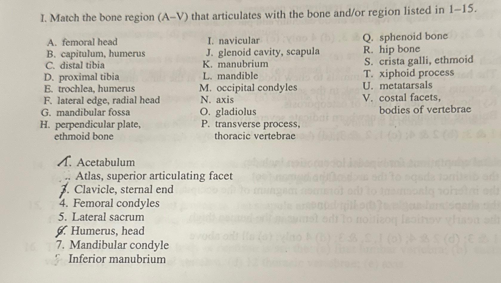 Solved I. Match the bone region (A-V) ﻿that articulates with | Chegg.com
