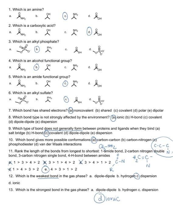 Solved Please double check my work and explain your answer | Chegg.com
