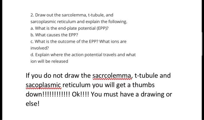 Solved 2. Draw out the sarcolemma, t-tubule, and | Chegg.com