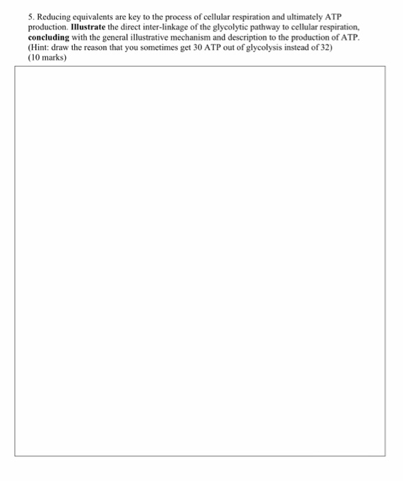 Solved 5. Reducing equivalents are key to the process of | Chegg.com