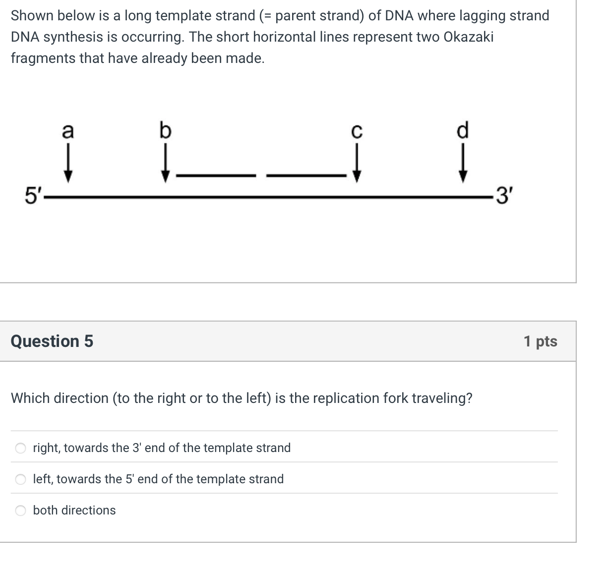 Solved Shown below is a long template strand (= ﻿parent | Chegg.com