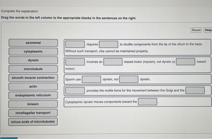 Solved Complete the explanation. Drag the words in the left | Chegg.com