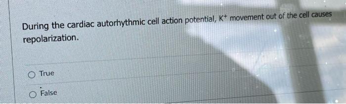 Solved During the cardiac autorhythmic cell action | Chegg.com