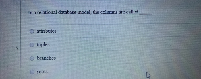 Solved In a relational database model, the columns are | Chegg.com