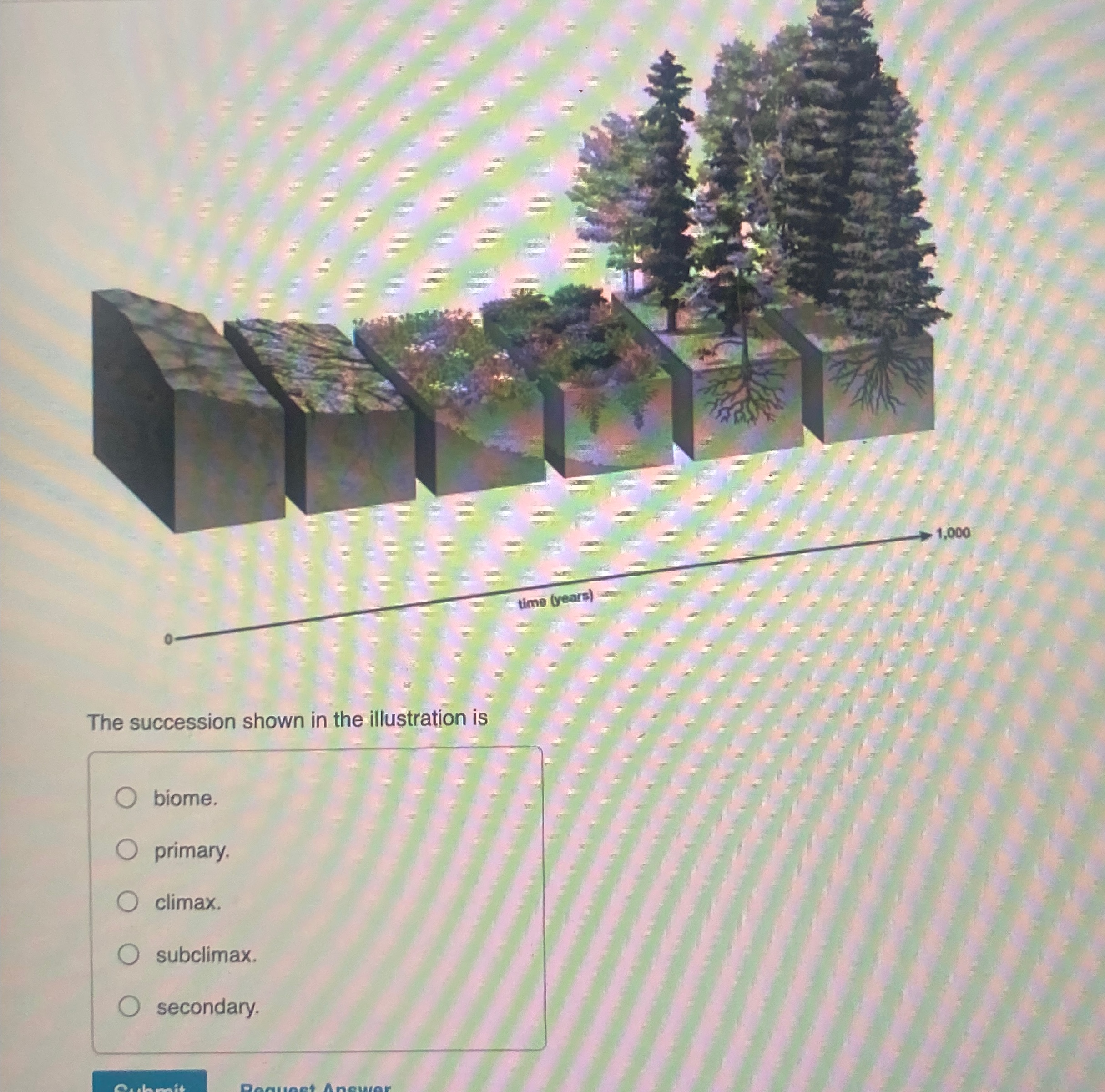 Solved time (vears)The succession shown in the illustration | Chegg.com