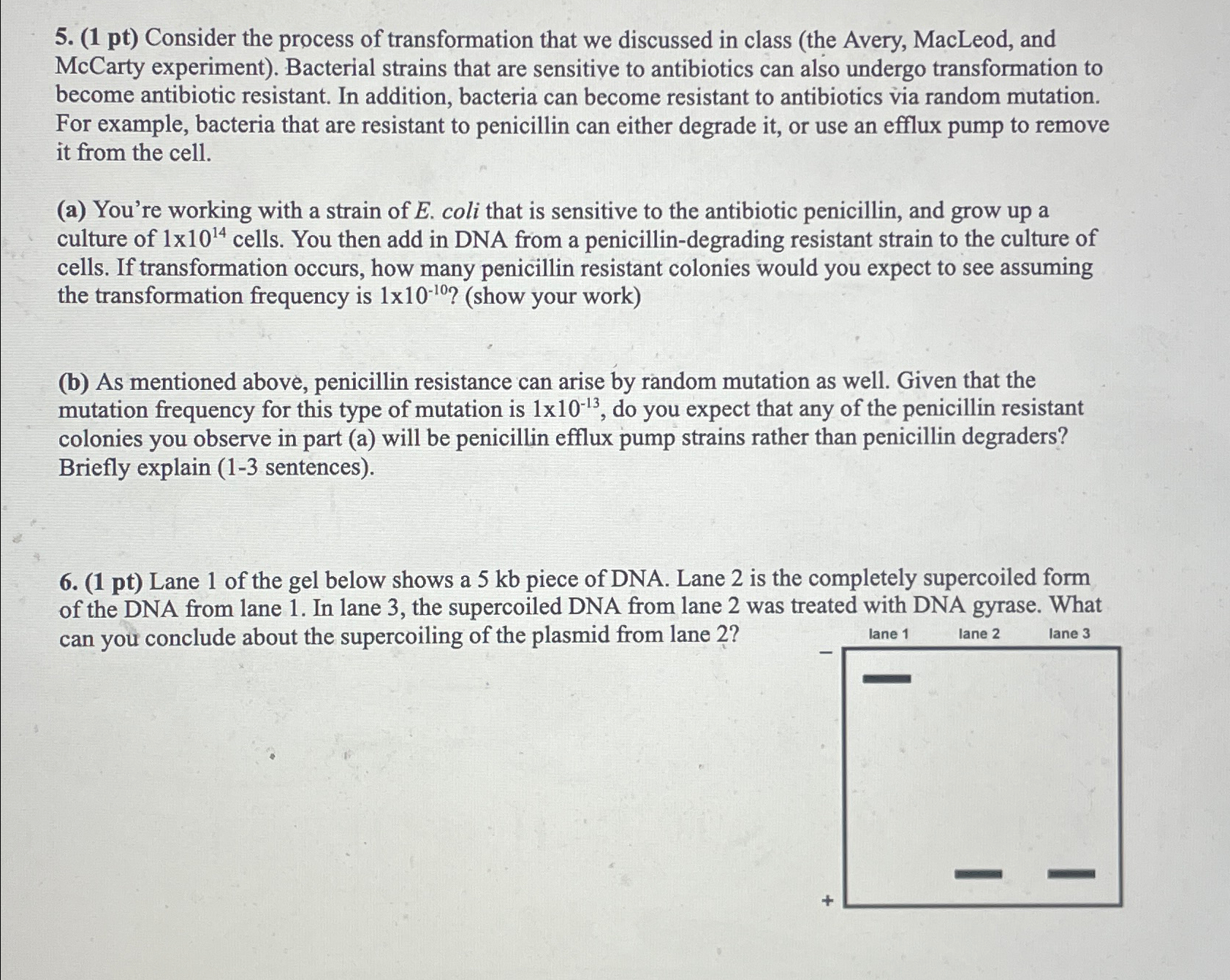 Solved (1 ﻿pt) ﻿Consider the process of transformation that | Chegg.com