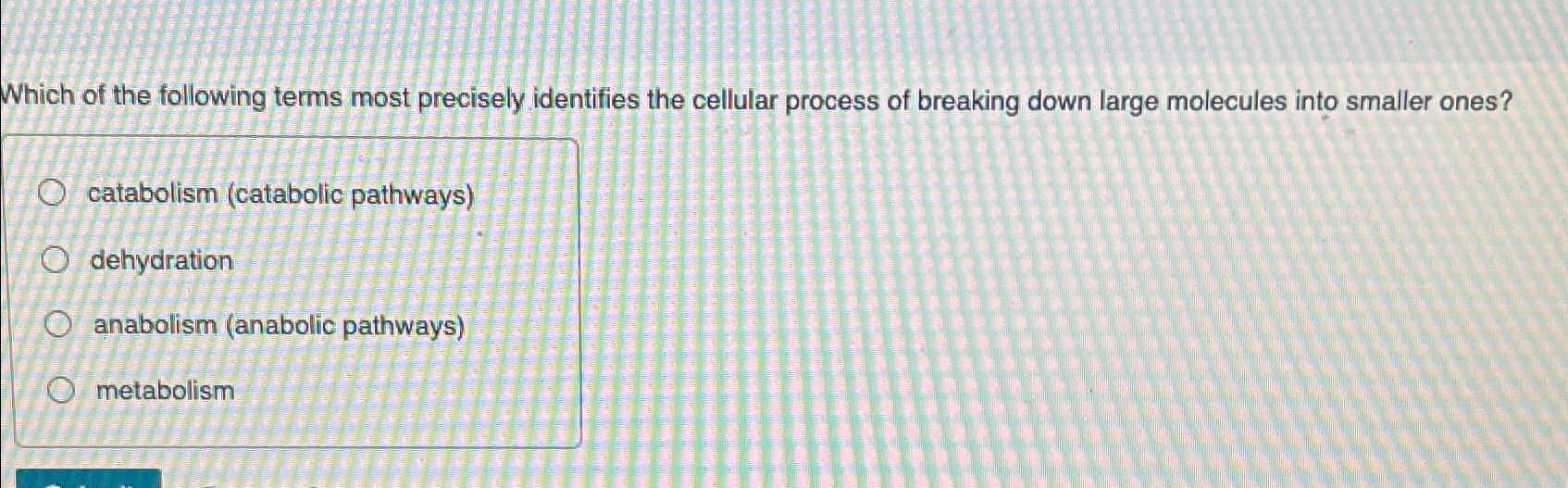 Solved Which of the following terms most precisely | Chegg.com