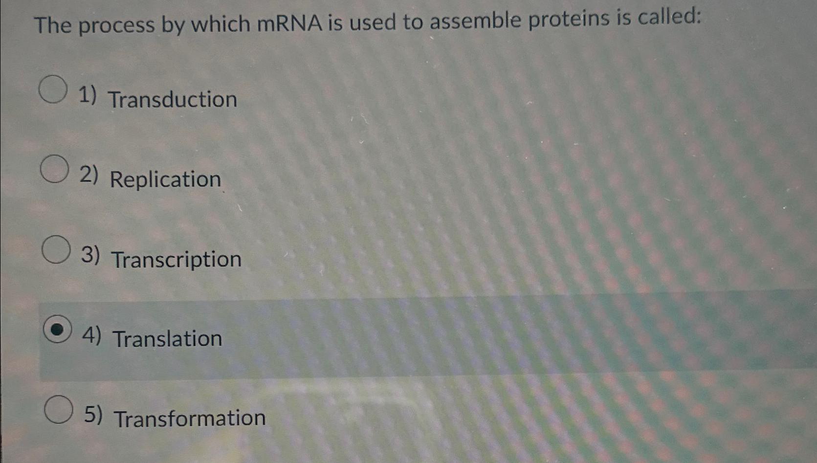 Solved The process by which mRNA is used to assemble | Chegg.com
