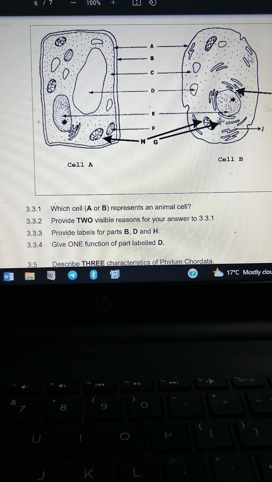 Solved 3.3.1 Which cell (A or B) represents an animal cell? | Chegg.com