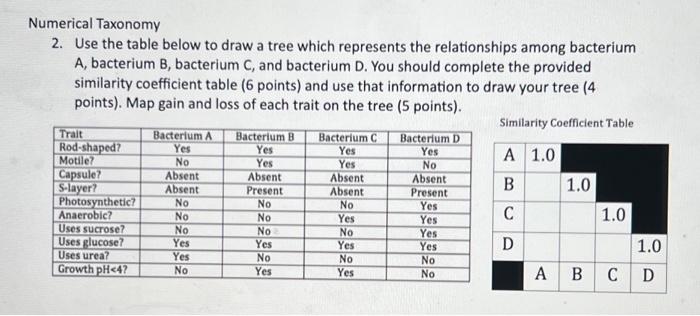 Solved Numerical Taxonomy 2. Use the table below to draw a | Chegg.com