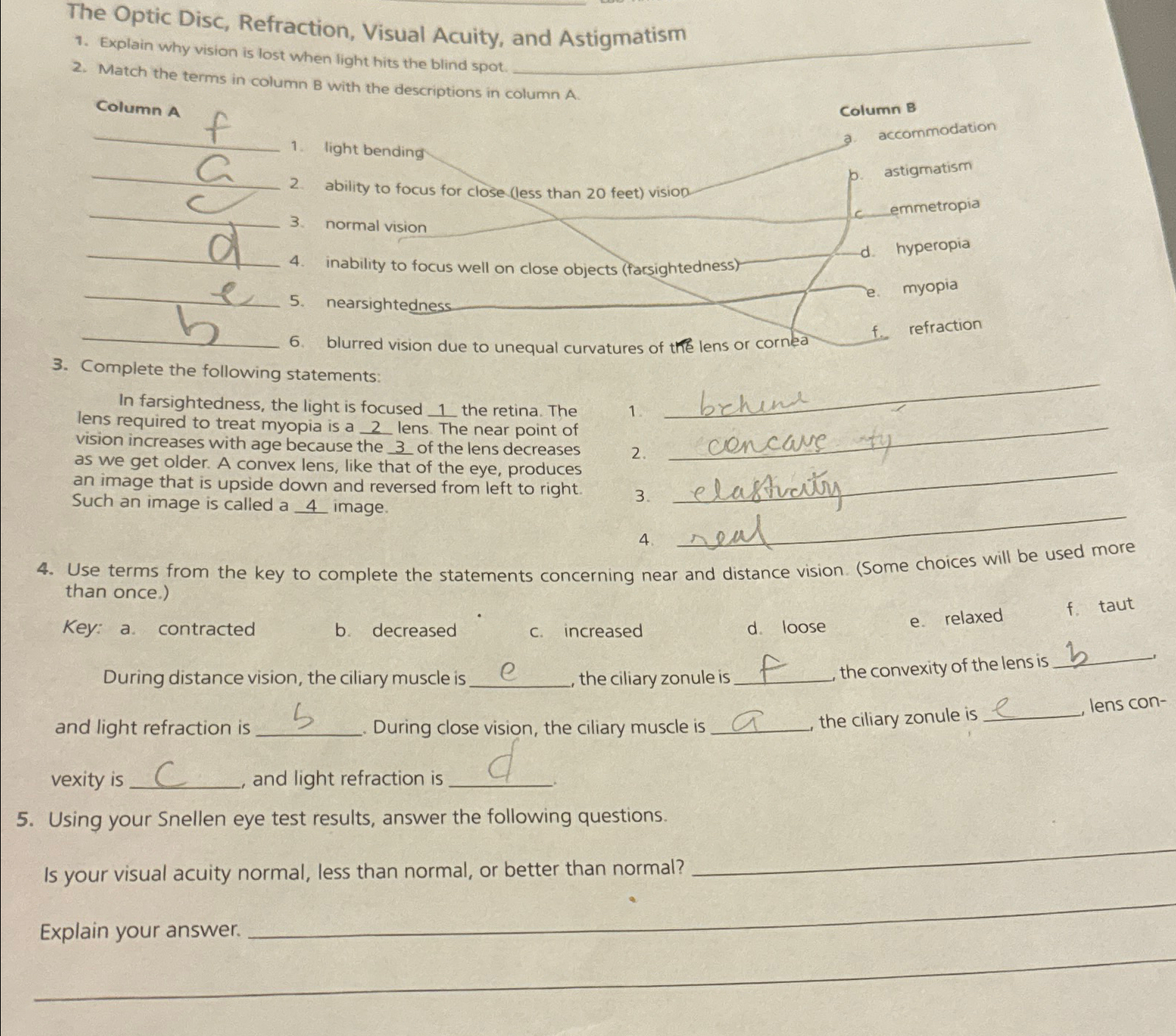 Solved The Optic Disc, Refraction, Visual Acuity, and | Chegg.com