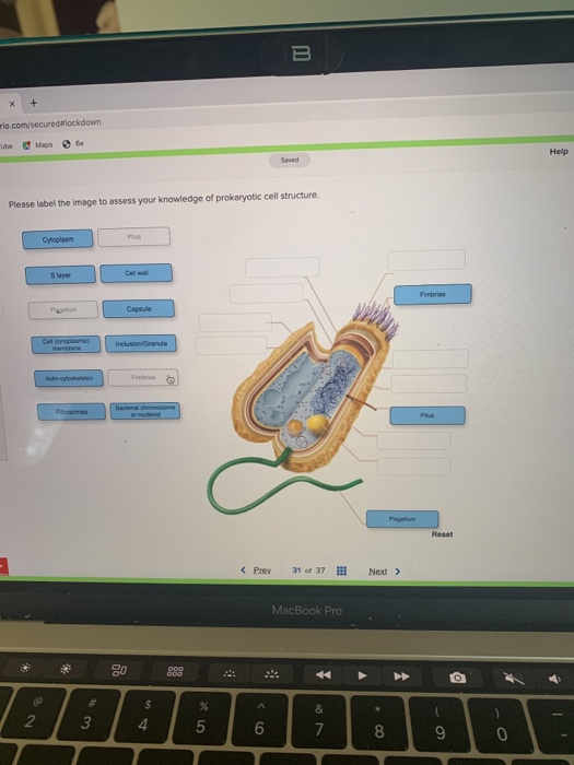 B rio.com/secured lockdown ube Maps 6 Help Saved | Chegg.com