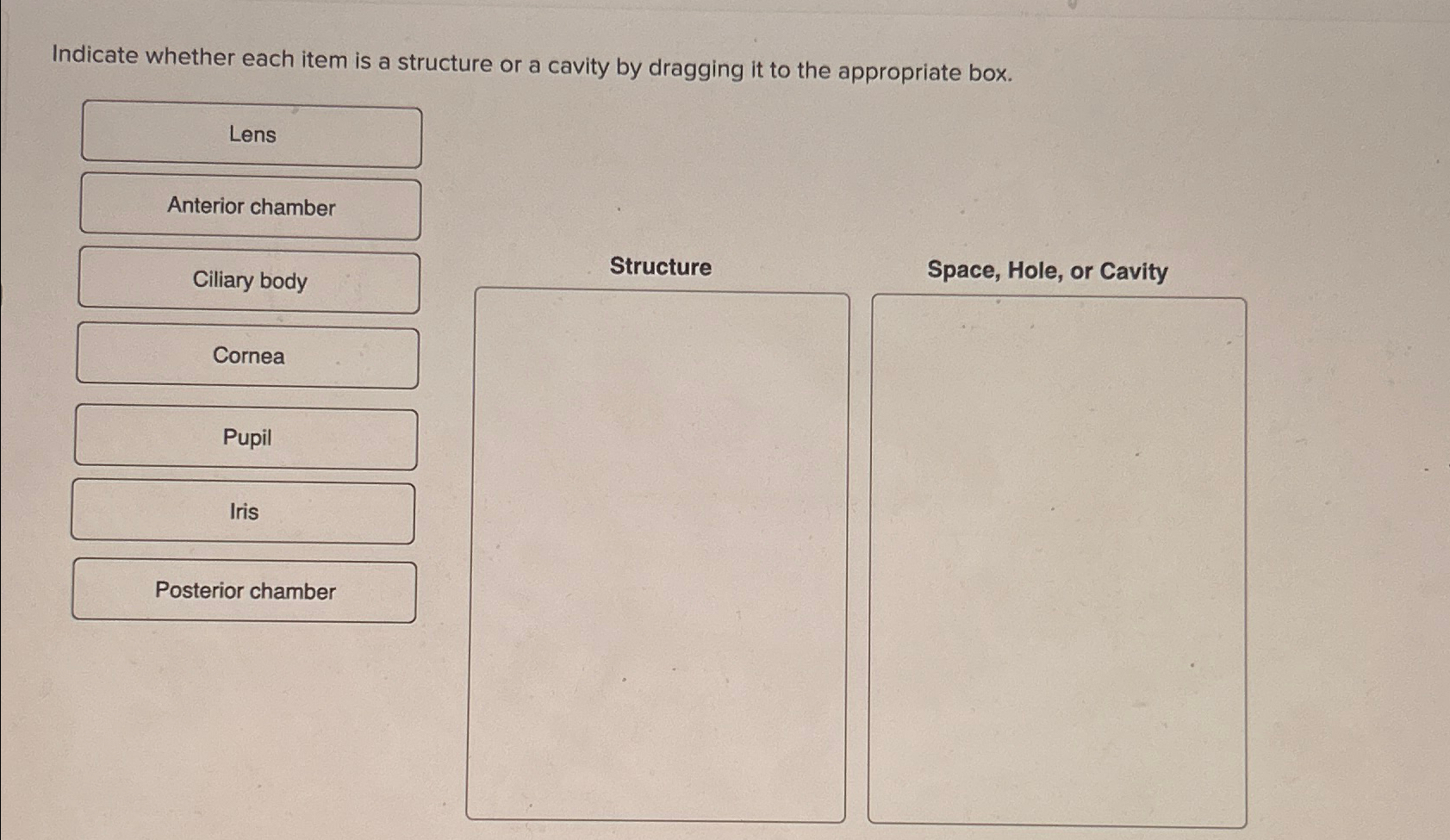 Solved Indicate whether each item is a structure or a cavity | Chegg.com