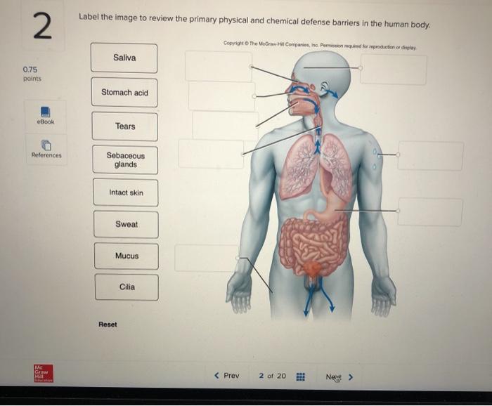 Solved Label the image to review the primary physical and | Chegg.com