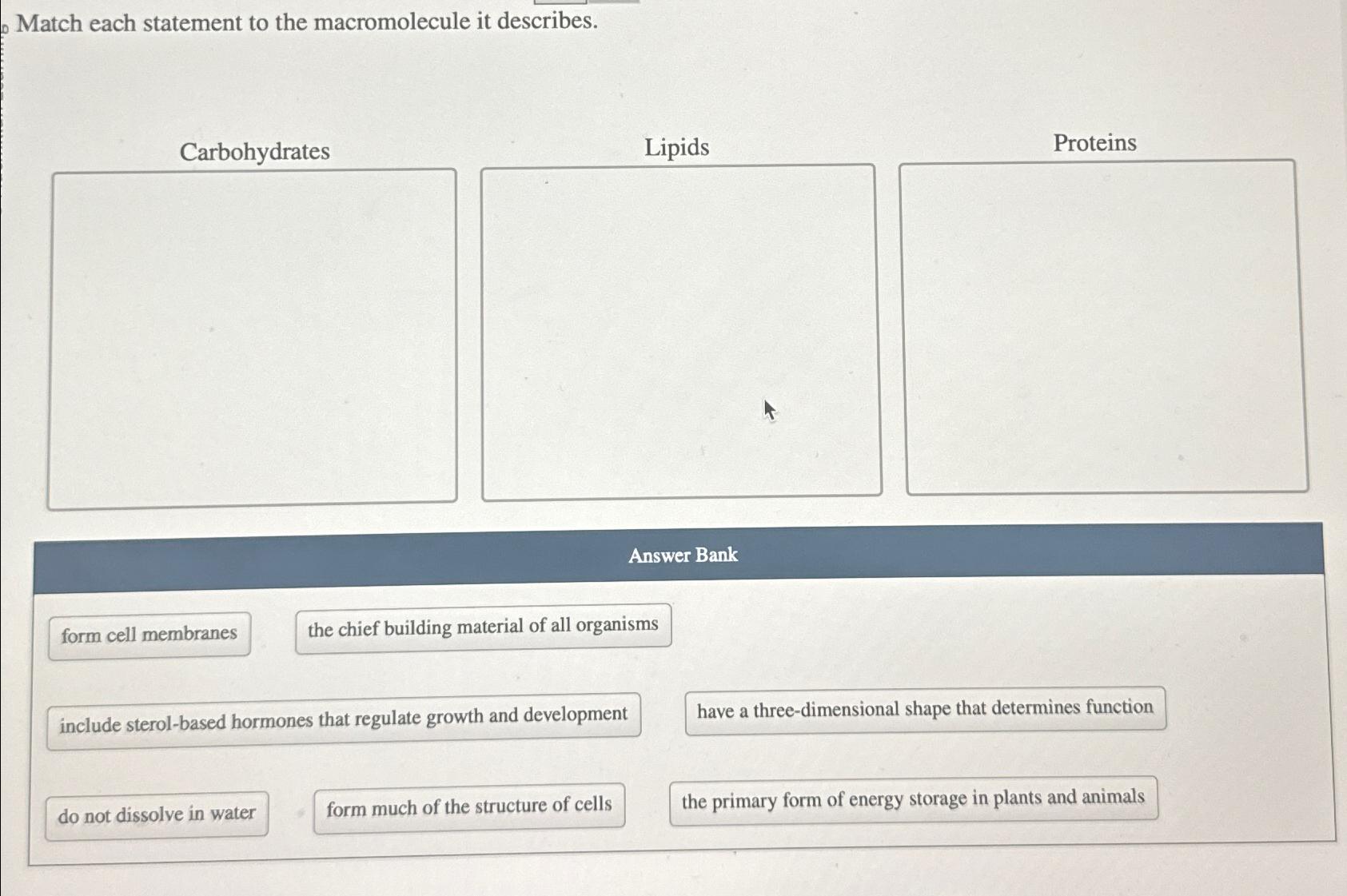 Solved Match each statement to the macromolecule it | Chegg.com