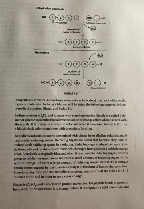 Solved LABORATORY 4 Biologically Important Molecules The | Chegg.com