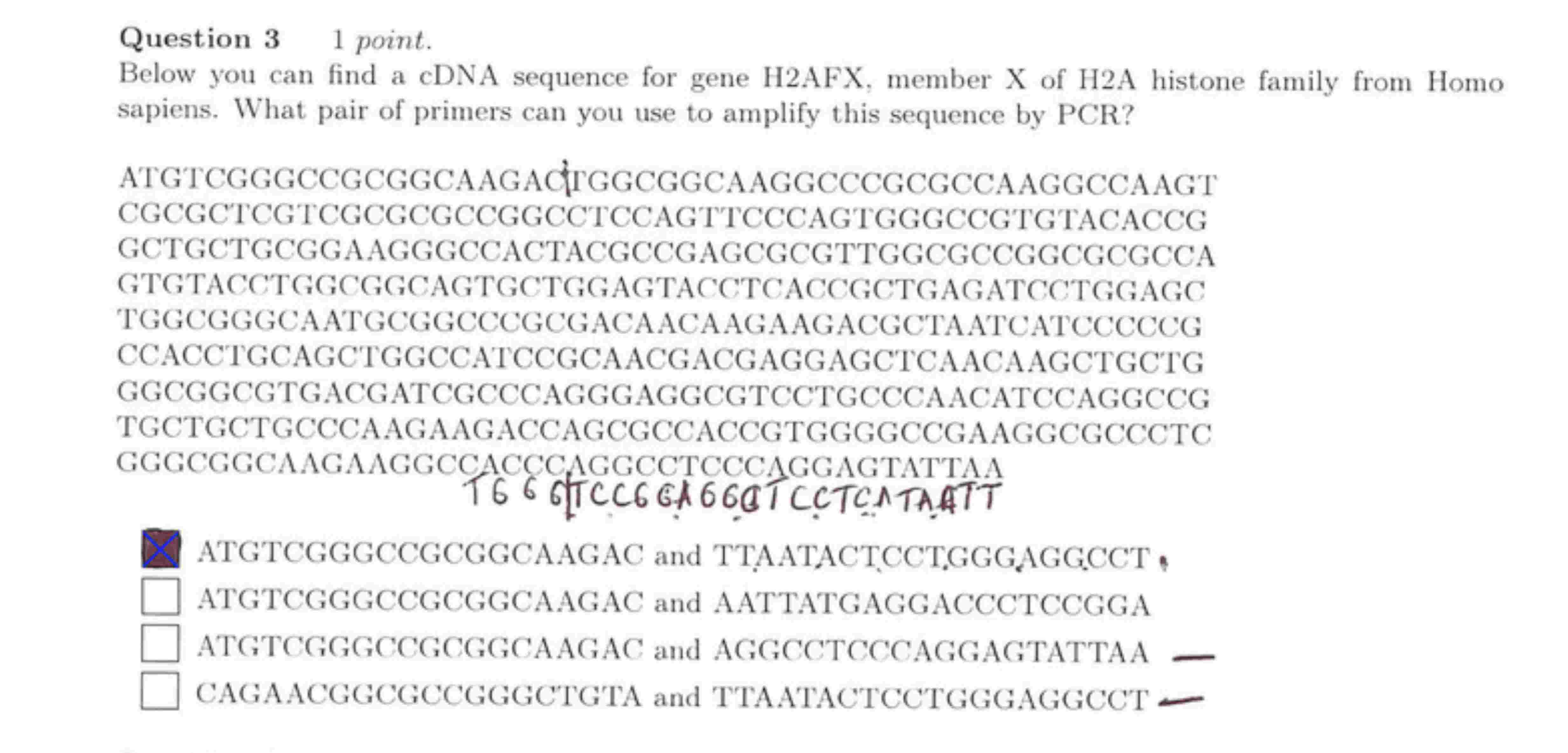 Solved Question 31 ﻿point.Below you can find a cDNA sequence | Chegg.com