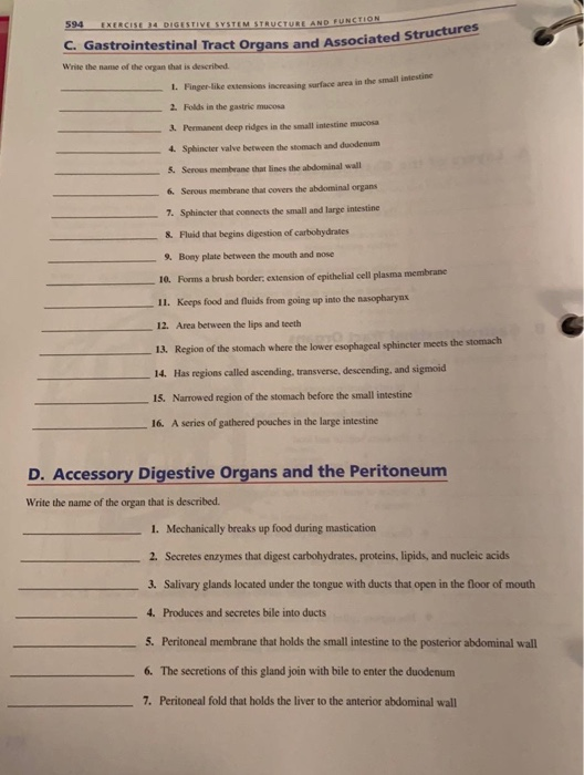 Solved Name Date Section Reviewing Your Knowledge Exercise