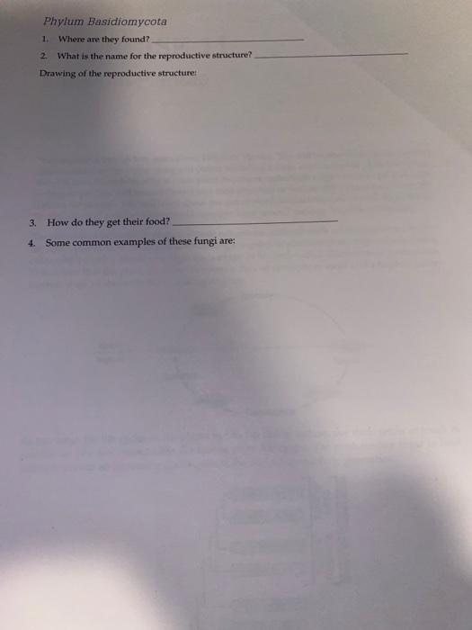 Solved Worksheet 10 Kingdoms Bacteria, Protista, and Fungi | Chegg.com