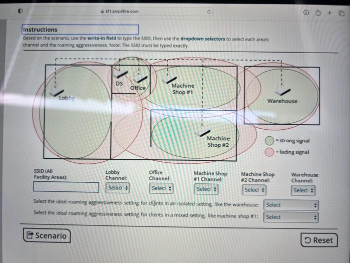 Based on the scenario, use the write-in field to type | Chegg.com