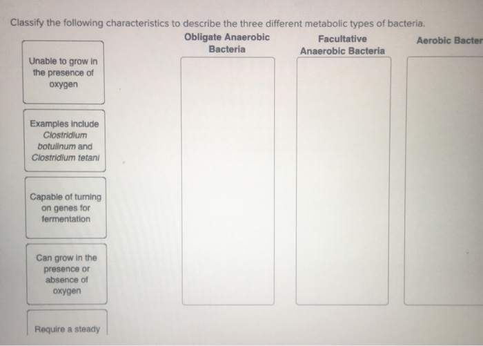 Solved Classify the following characteristics to describe | Chegg.com
