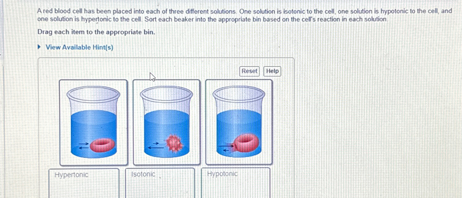Solved A red blood cell has been placed into each of three | Chegg.com