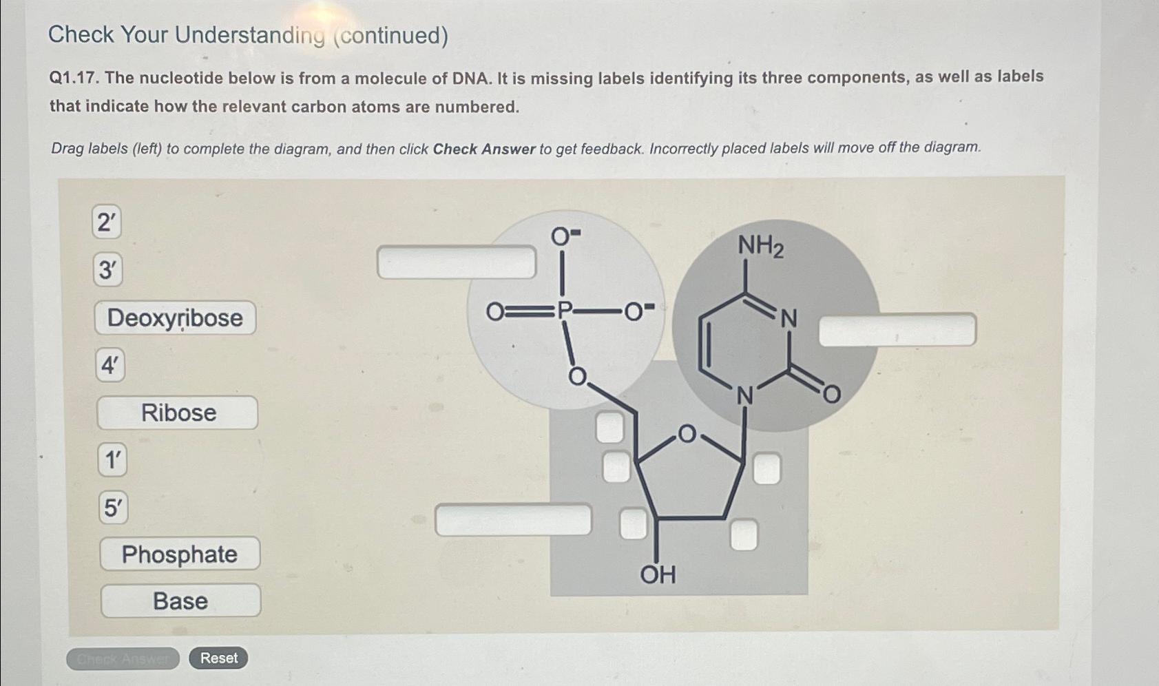 Solved Check Your Understanding (continued)Q1.17. ﻿The | Chegg.com