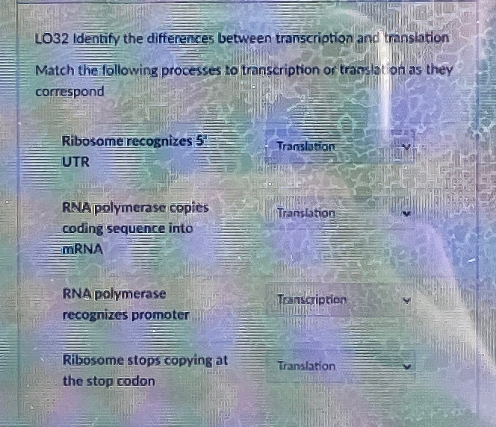 Solved LO32 ﻿Identify the differences between transcription | Chegg.com