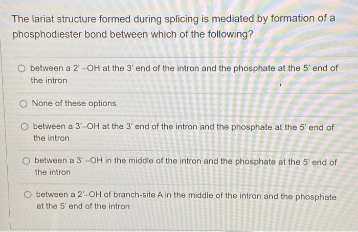 Solved The lariat structure formed during splicing is | Chegg.com