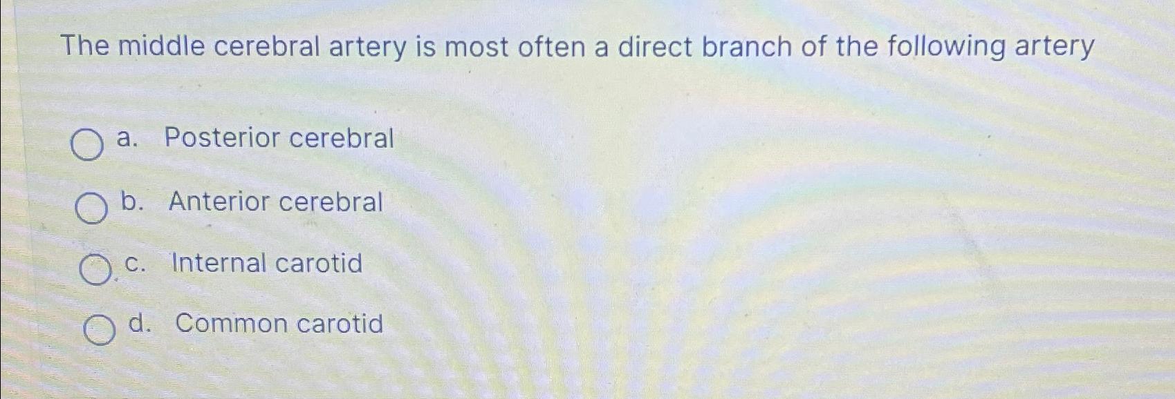 Solved The middle cerebral artery is most often a direct | Chegg.com