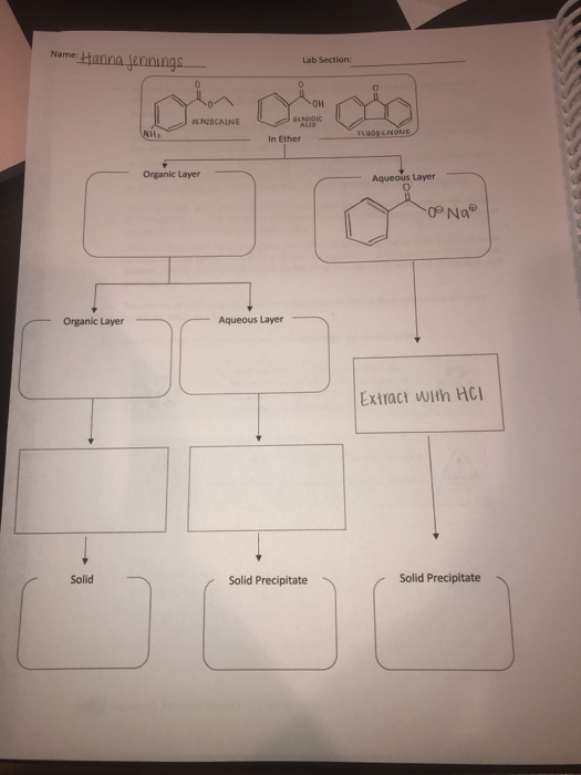 Solved Name: e Hanna Jennings Lab Section: NEOCAINE 0 | Chegg.com