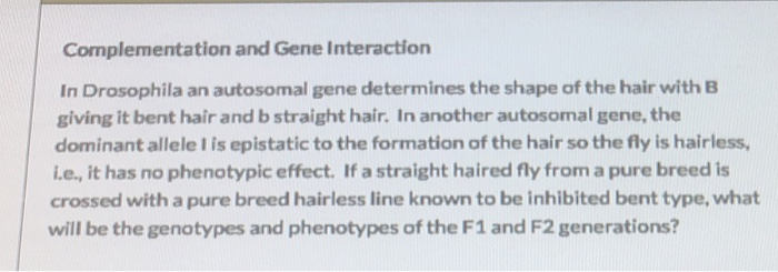 Solved Complementation and Gene Interaction In Drosophila an | Chegg.com